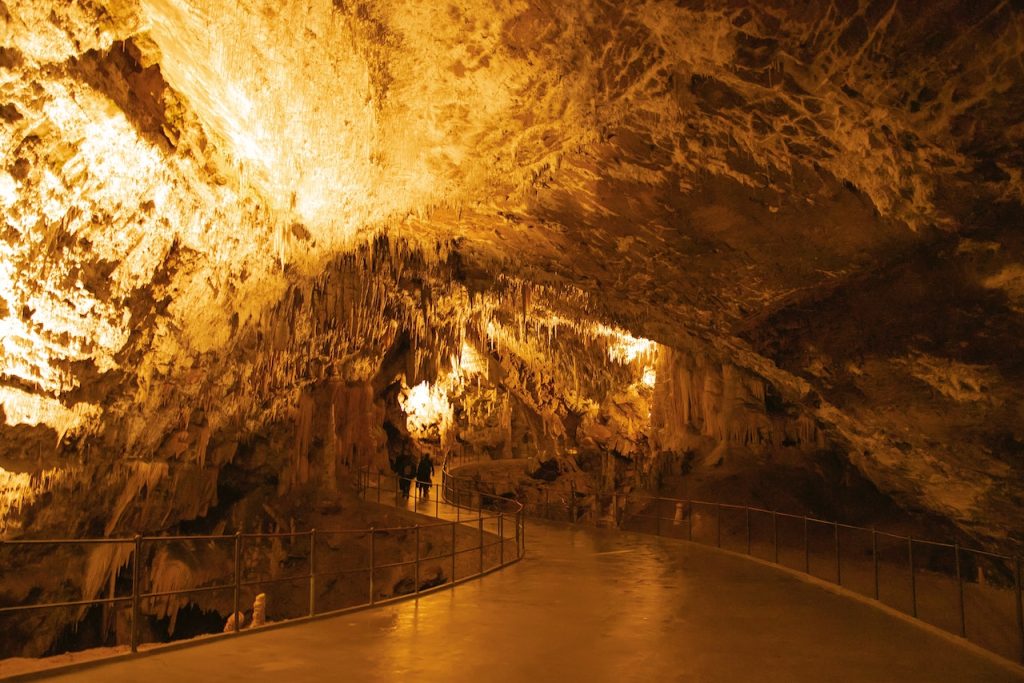 La Grotte de Chauvet, un magnifique exemple de l'art pariétal ...